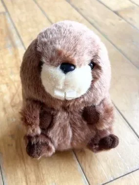 Aurora | Toys | Aurora Beaver Small Soft Stuffed Animal Plush Toy ...